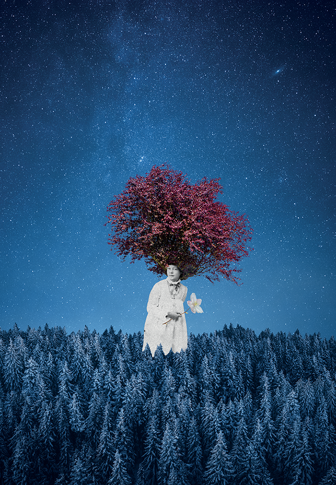 Dans mon beau jardin... il y a un arbre - Spirito